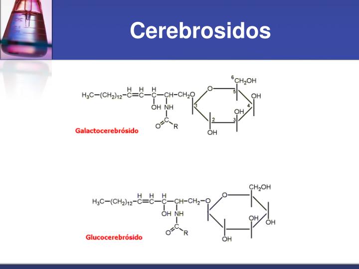 PPT - Unidad III: Reacciones químicas de Importancia Bioquímica ...