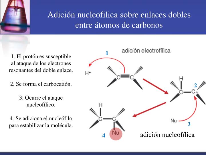 PPT - Unidad III: Reacciones químicas de Importancia Bioquímica ...