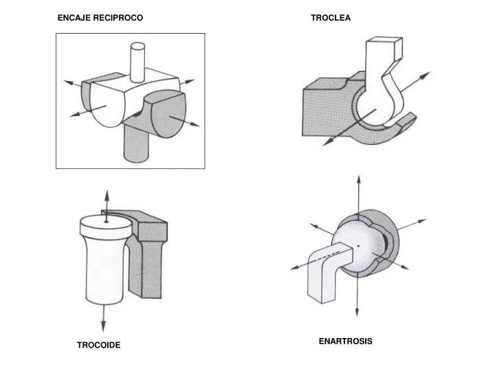 PPT - ENCAJE RECIPROCO PowerPoint Presentation, free download - ID:963882