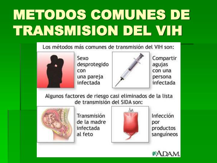 PPT - EL VIRUS DEL SIDA ( EL VIH ) PowerPoint Presentation - ID:964321