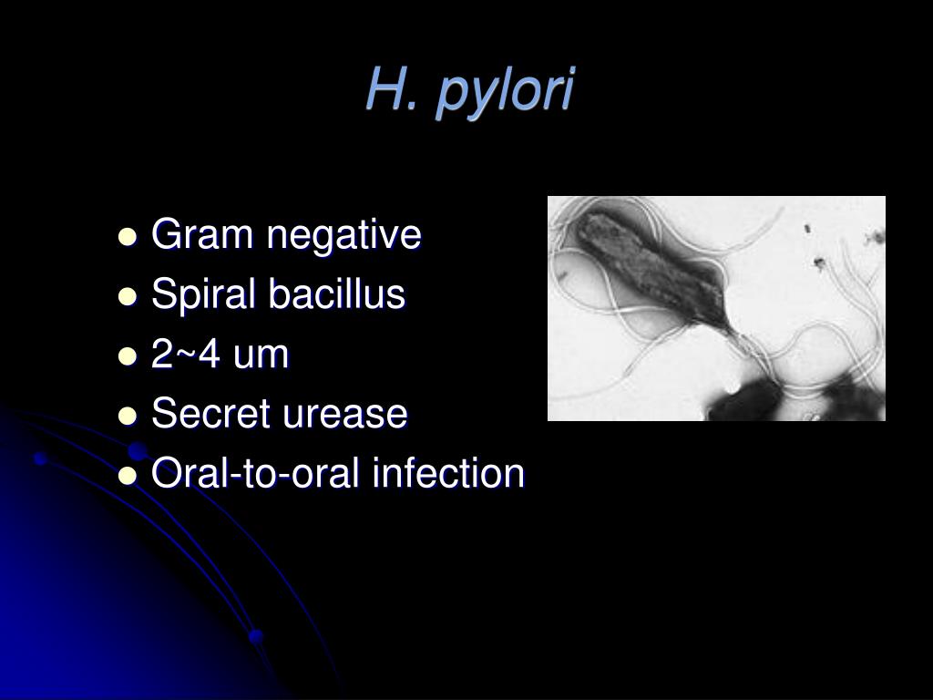 PPT - Noble Prize in Medicine 2005 The discovery of the bacterium ...