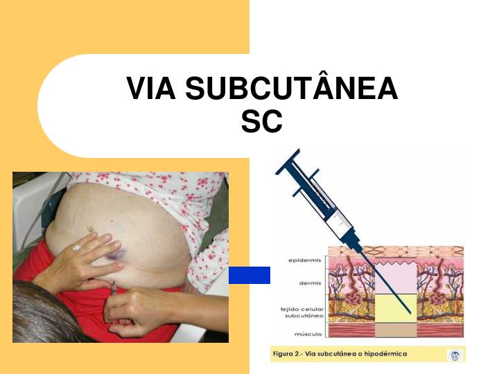 PPT - Administração de medicamentos Parenterais PowerPoint Presentation ...