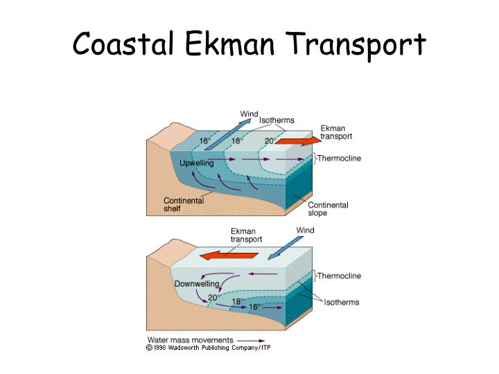 PPT - Ocean Circulation II Ekman transport & Geostrophic currents ...