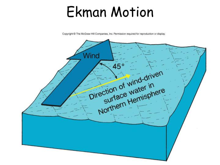 PPT - Ocean Circulation II Ekman transport & Geostrophic currents ...