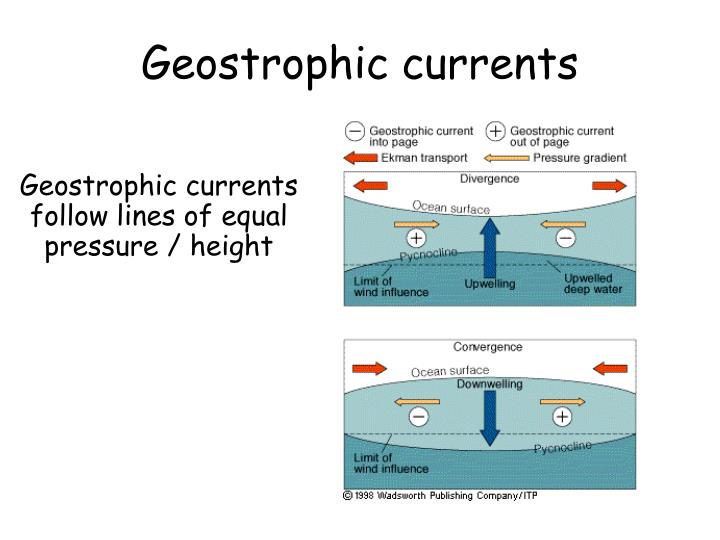 PPT - Ocean Circulation II Ekman transport & Geostrophic currents ...