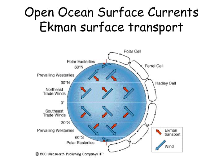PPT - Ocean Circulation II Ekman transport & Geostrophic currents ...