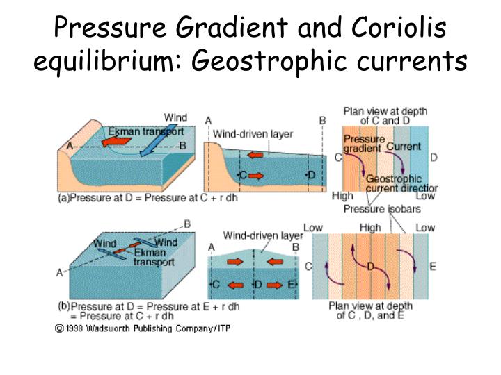 PPT - Ocean Circulation II Ekman transport & Geostrophic currents ...