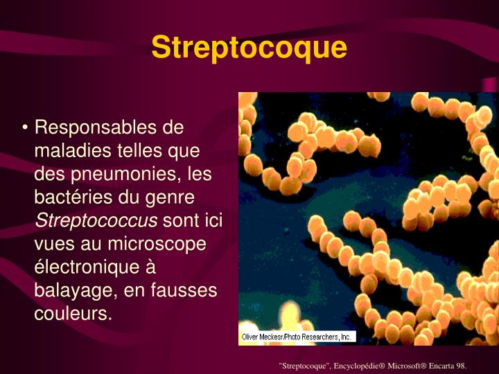 PPT - La réaction de l’organisme envers le non-soi Système immunitaire ...