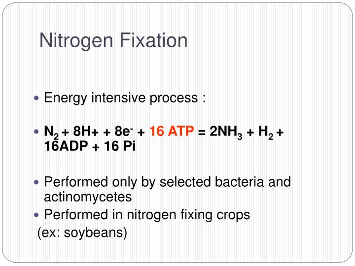 PPT - Soil Microbiology PowerPoint Presentation - ID:966927