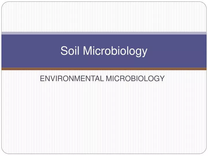 PPT - Soil Microbiology PowerPoint Presentation, free download - ID:966927