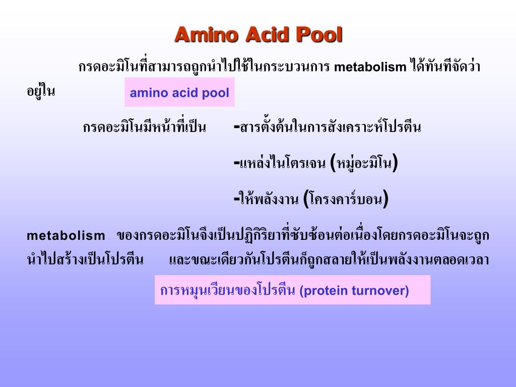 PPT - Protein and Amino Acid Metabolism PowerPoint Presentation, free ...