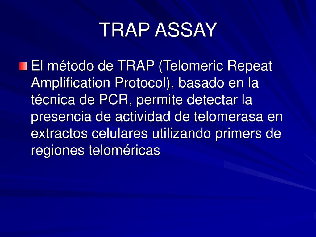 PPT - Desde tiempos remotos, se ha estudiado el envejecimiento y la ...