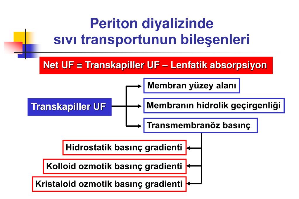 PPT - PERİTON DİYALİZİNDE ALTERNATİF TEDAVİ YÖNTEMLERİ PowerPoint ...