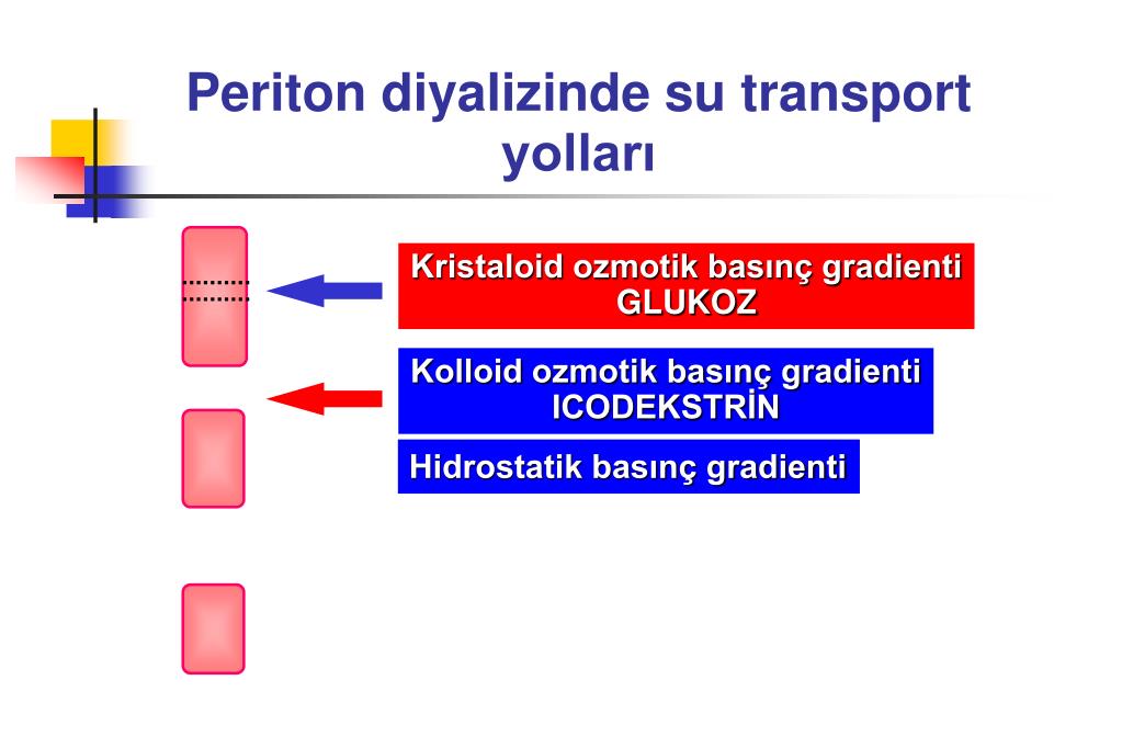 PPT - PERİTON DİYALİZİNDE ALTERNATİF TEDAVİ YÖNTEMLERİ PowerPoint ...