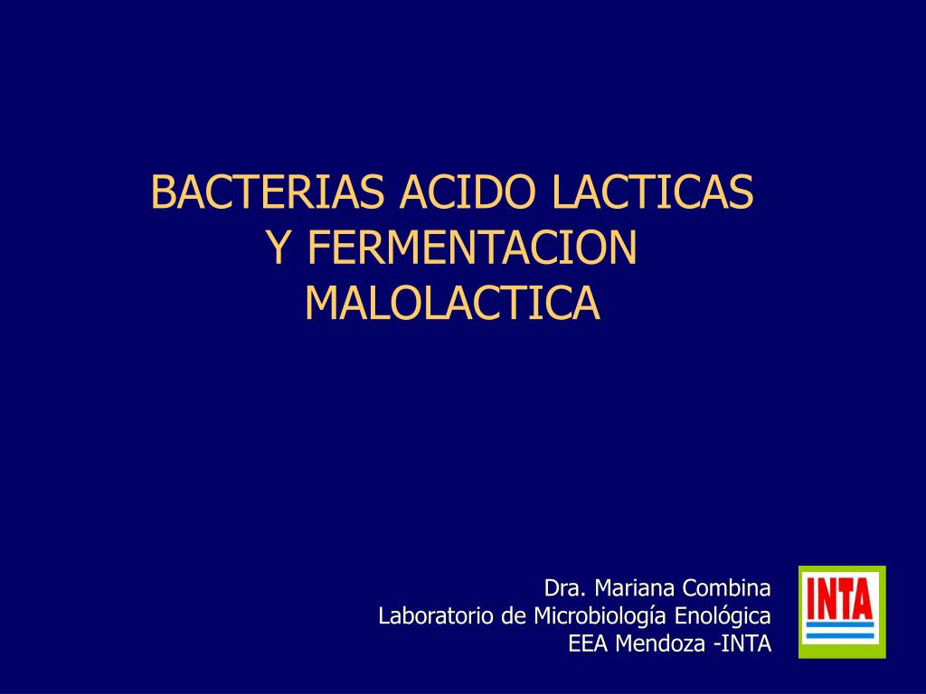PPT - BACTERIAS ACIDO LACTICAS Y FERMENTACION MALOLACTICA PowerPoint ...