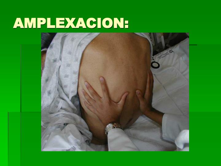 PPT - SEMIOLOGIA DEL APARATO RESPIRATORIO PowerPoint Presentation - ID ...