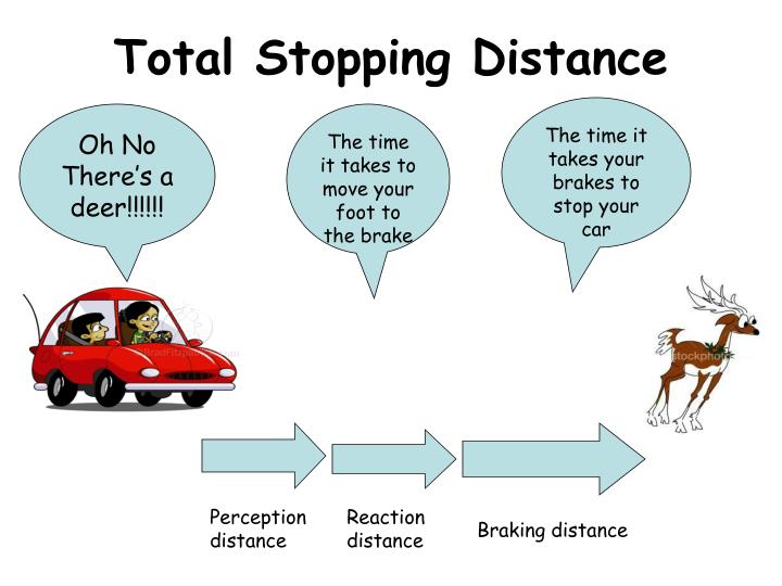 PPT - CHAPTER 5 PowerPoint Presentation - ID:972492