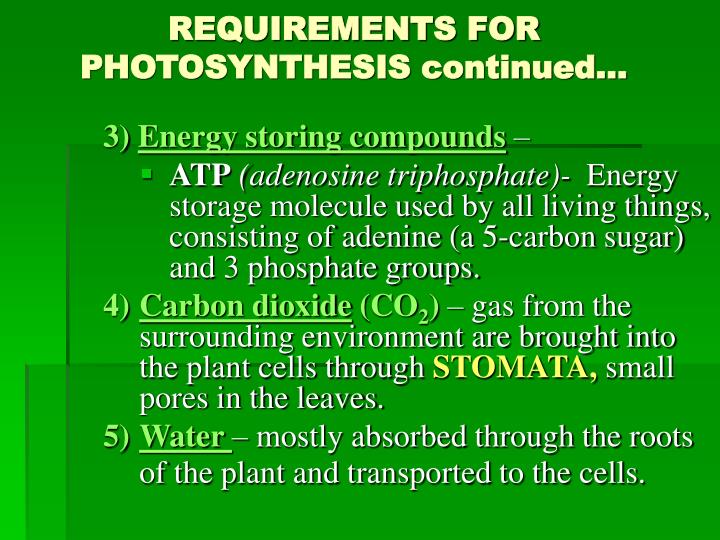 PPT - Photosynthesis: Using Light to make Food PowerPoint Presentation ...