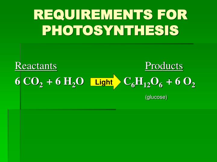PPT - Photosynthesis: Using Light to make Food PowerPoint Presentation ...