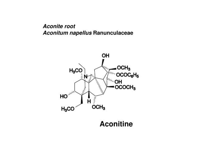 PPT - Proto alkaloids PowerPoint Presentation - ID:972827