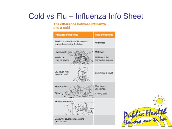 PPT - Pandemic (H1N1) 2009 Presentation (Massey University) PowerPoint ...