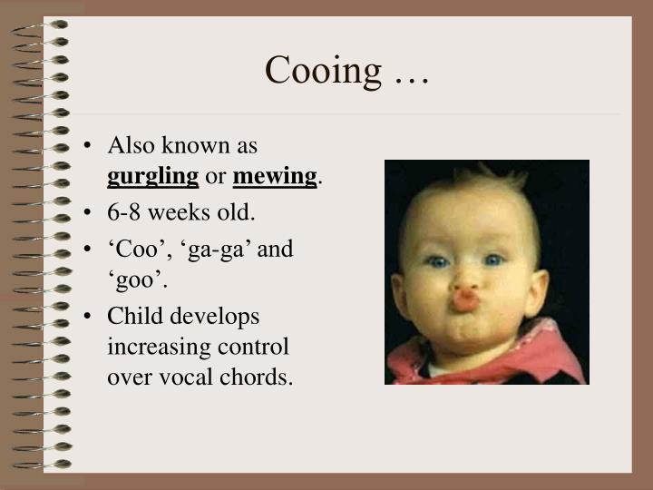 PPT - Language Acquisition PowerPoint Presentation - ID:973365