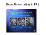 PPT - Fetal Alcohol Spectrum Disorder (FASD) PowerPoint Presentation ...