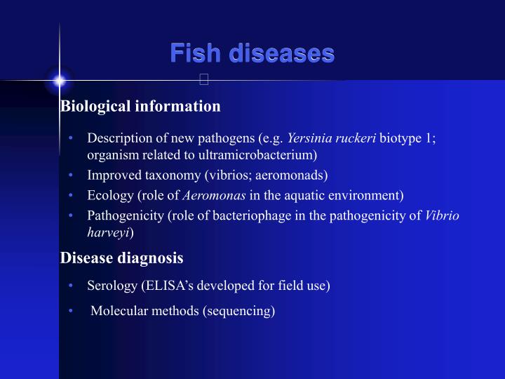 PPT - Probiotics and Aquaculture PowerPoint Presentation - ID:976631