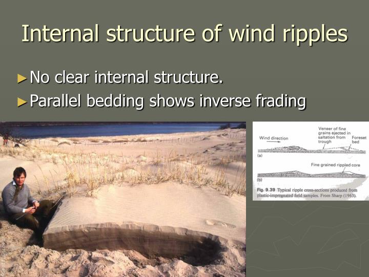 PPT - GE0-3112 Sedimentary processes and products PowerPoint ...