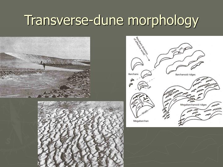 PPT - GE0-3112 Sedimentary processes and products PowerPoint ...