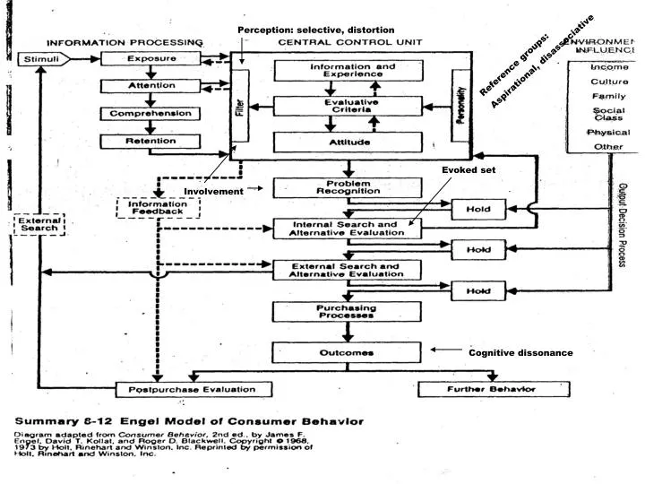 PPT - Perception: selective, distortion PowerPoint Presentation, free ...