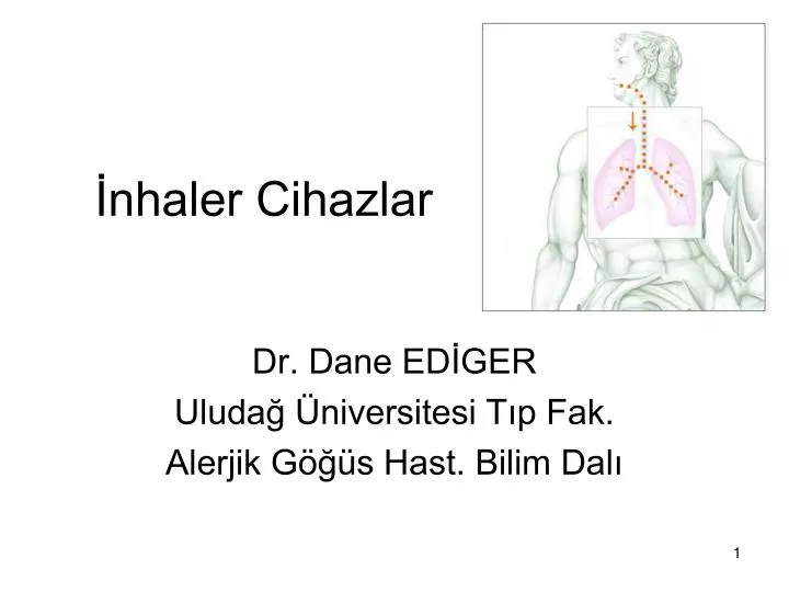 PPT - İnhaler Cihazlar PowerPoint Presentation, free download - ID:977943