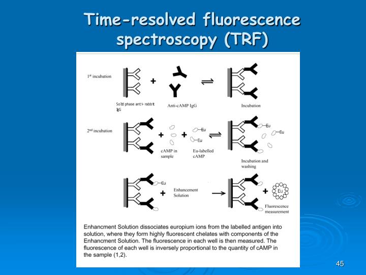 PPT - High-Throughput Screening PowerPoint Presentation - ID:977951