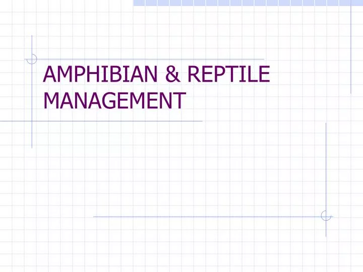PPT - AMPHIBIAN & REPTILE MANAGEMENT PowerPoint Presentation, free download - ID:978547