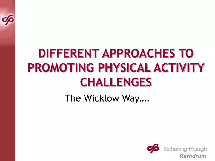 PPT - DIFFERENT APPROACHES TO PROMOTING PHYSICAL ACTIVITY CHALLENGES ...