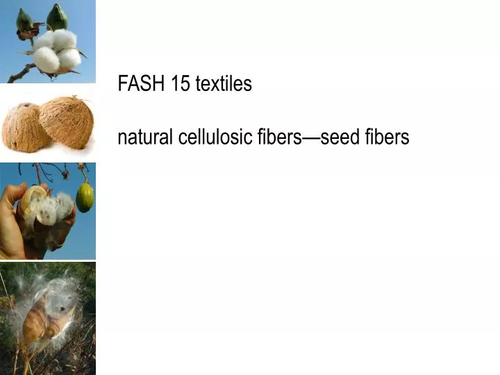 PPT - FASH 15 textiles natural cellulosic fibers—seed fibers PowerPoint ...