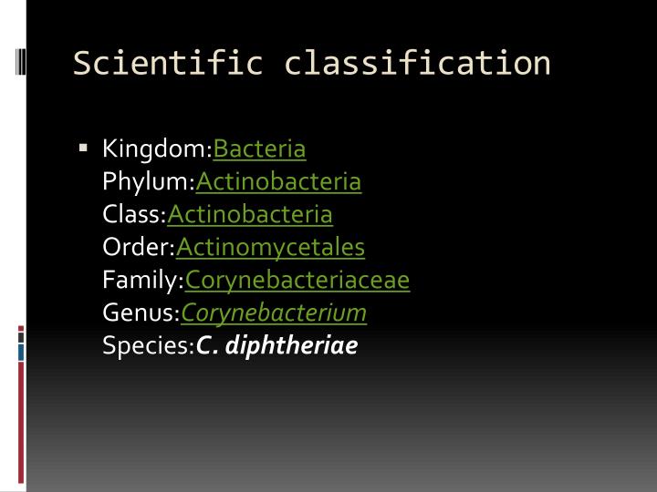 PPT - Corynebacterium PowerPoint Presentation - ID:981267