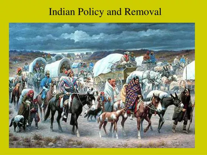 PPT - Indian Policy and Removal PowerPoint Presentation, free download ...