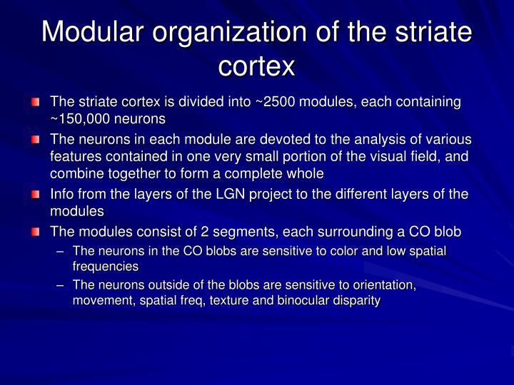 PPT - Chapter 6 PowerPoint Presentation - ID:982280