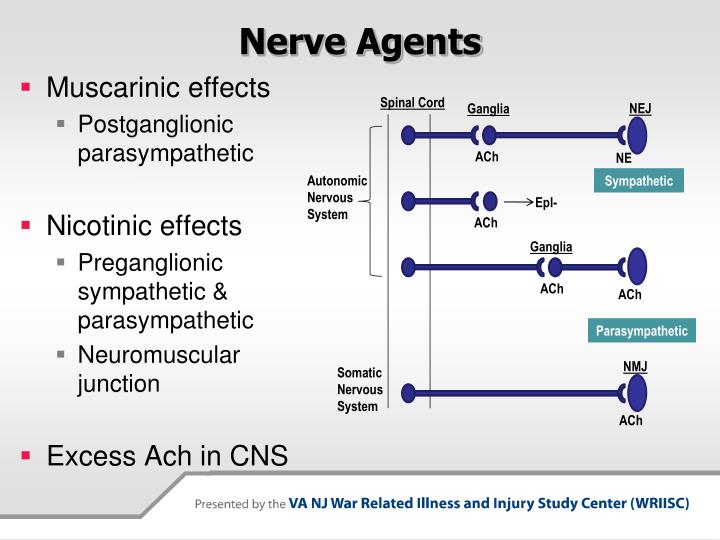 PPT - Pesticides, Sarin Gas & Antidotes Was I Exposed? Was the Cure ...