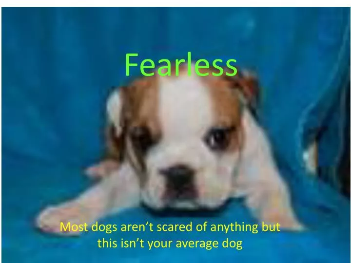 PPT - Fearless PowerPoint Presentation, free download - ID:982975