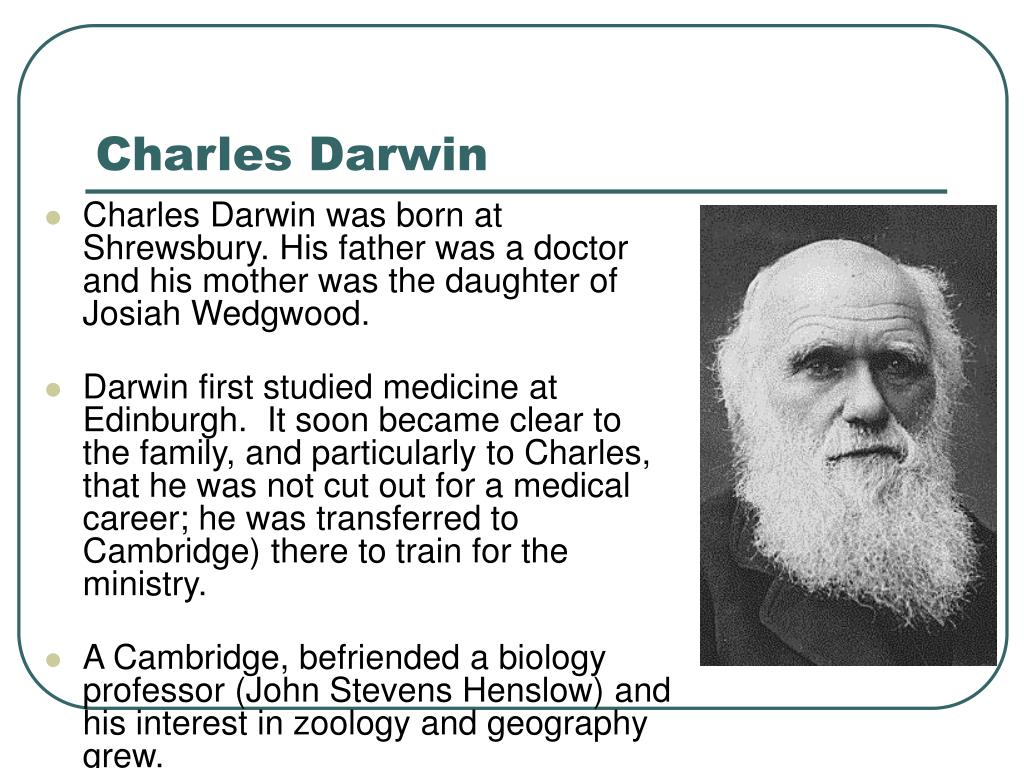PPT The Theory Of Evolution PowerPoint Presentation Free Download
