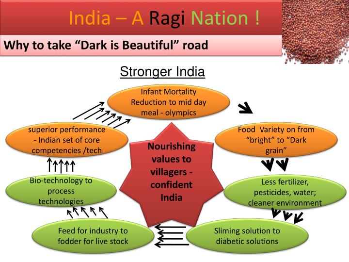 PPT - Finger Millet - Ragi PowerPoint Presentation - ID:984519