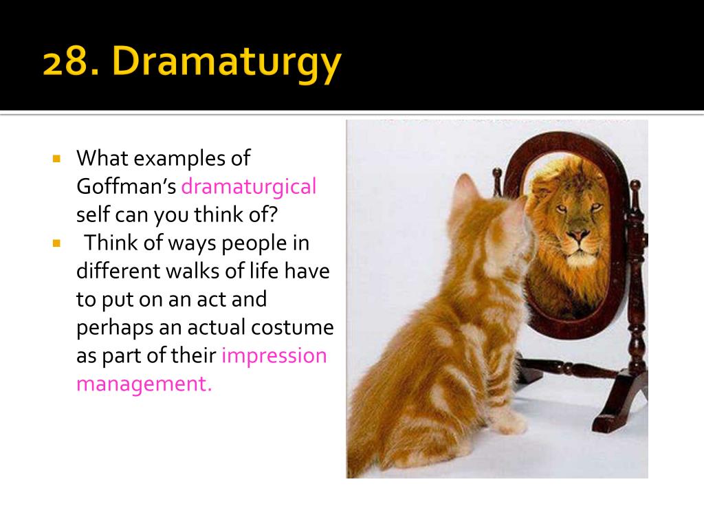 PPT - 13. Primary and secondary deviance PowerPoint Presentation, free ... PPT - 13. Primary and secondary deviance PowerPoint Presentation, free ...