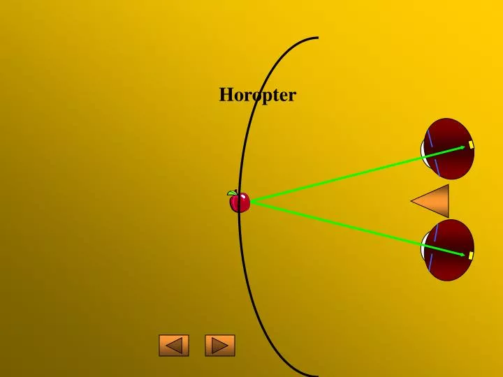 PPT - Horopter PowerPoint Presentation, free download - ID:985218