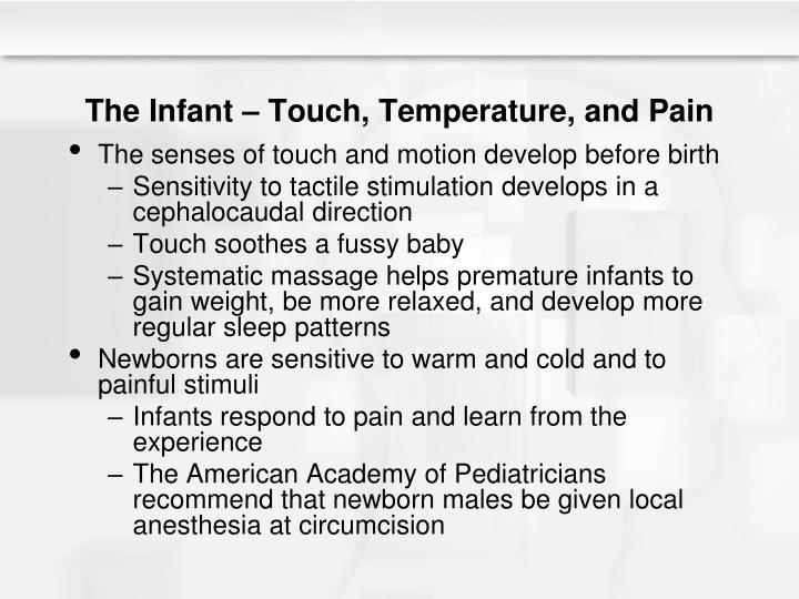 PPT - CHAPTER 6 SENSATION, PERCEPTION, AND ATTENTION PowerPoint ...