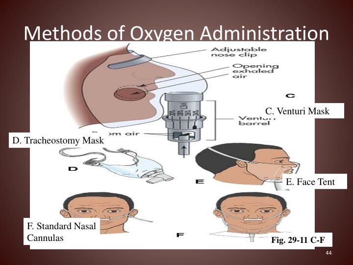 PPT - CHRONIC OBSTRUCTIVE PULMONARY DISEASE PowerPoint Presentation ...