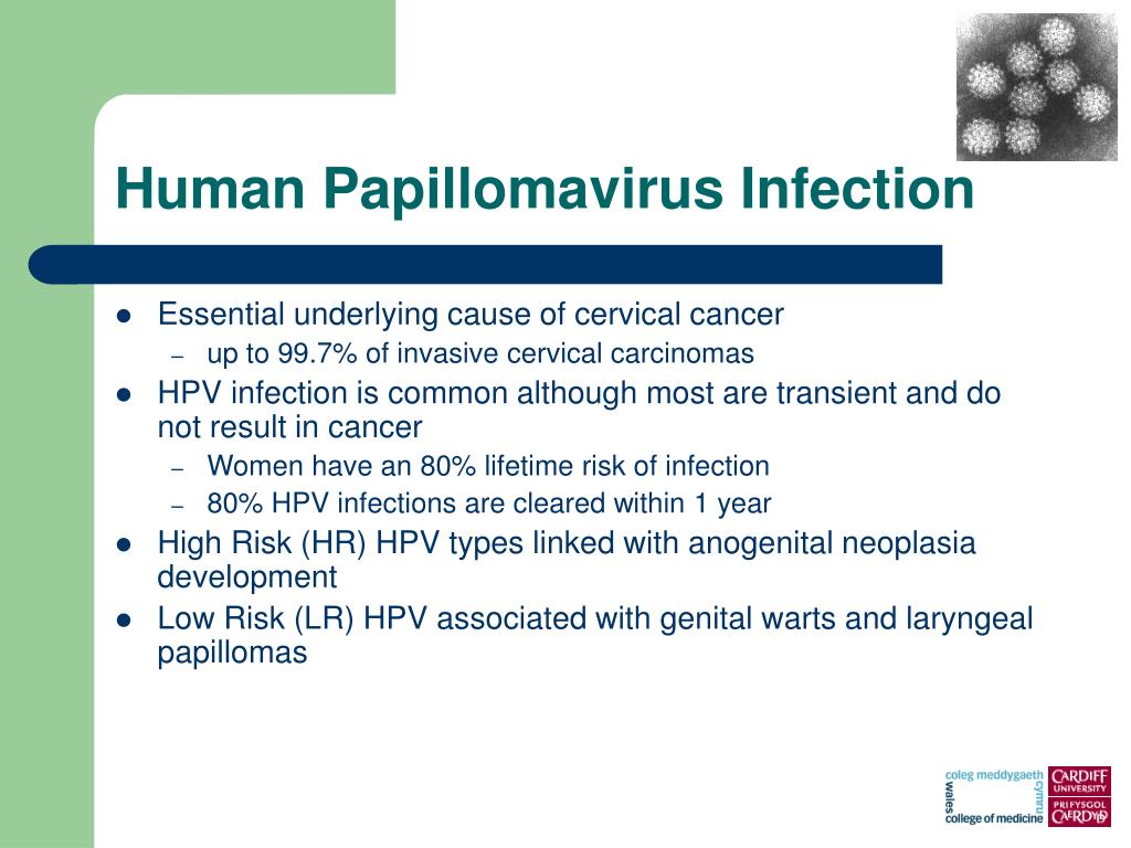 PPT - Human Papillomavirus Infection in Wales How Big is the Problem ...