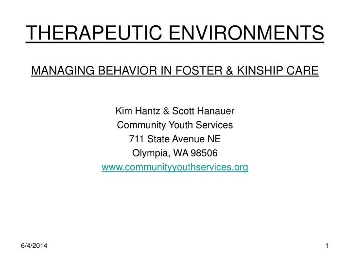 PPT - THERAPEUTIC ENVIRONMENTS PowerPoint Presentation, free download ...