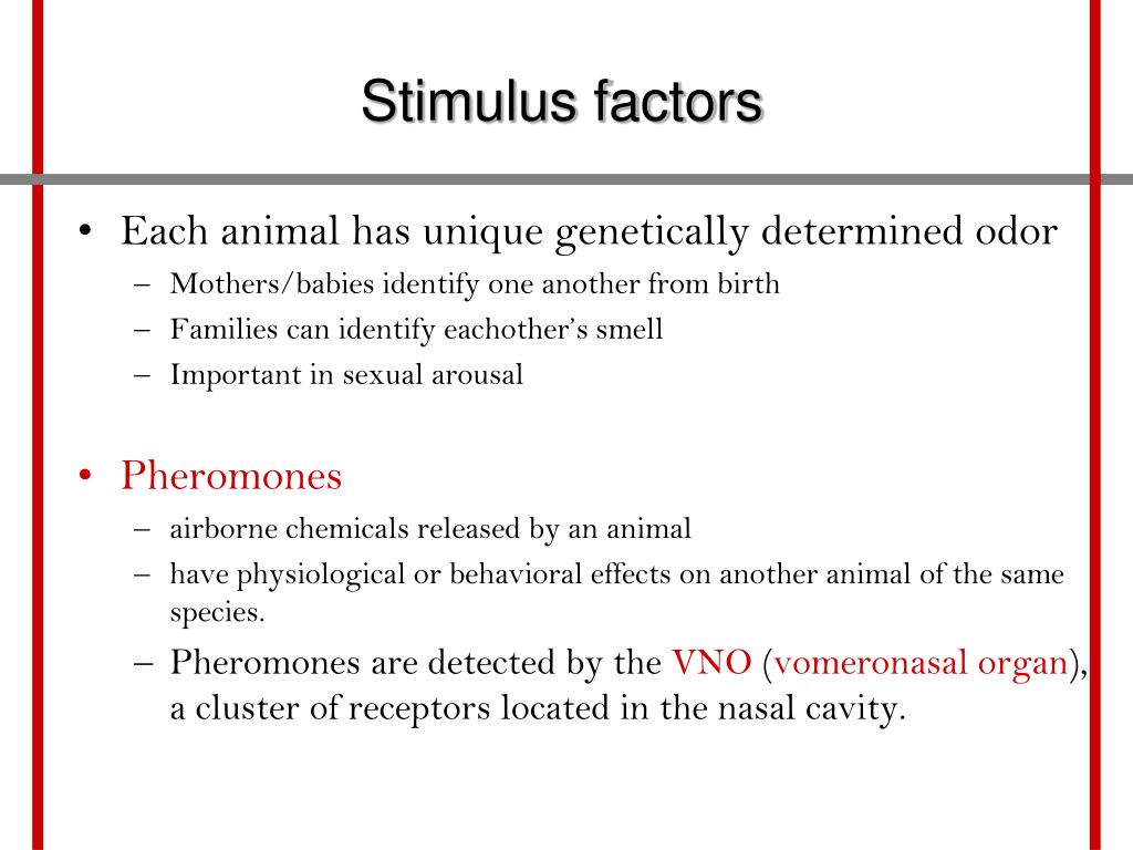 PPT - CHAPTER 7 PowerPoint Presentation, free download - ID:987457